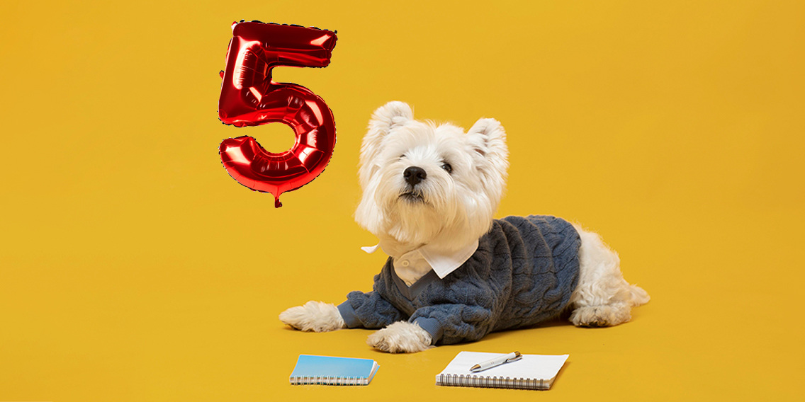 5 Essential Tips for Building Your CAS Department