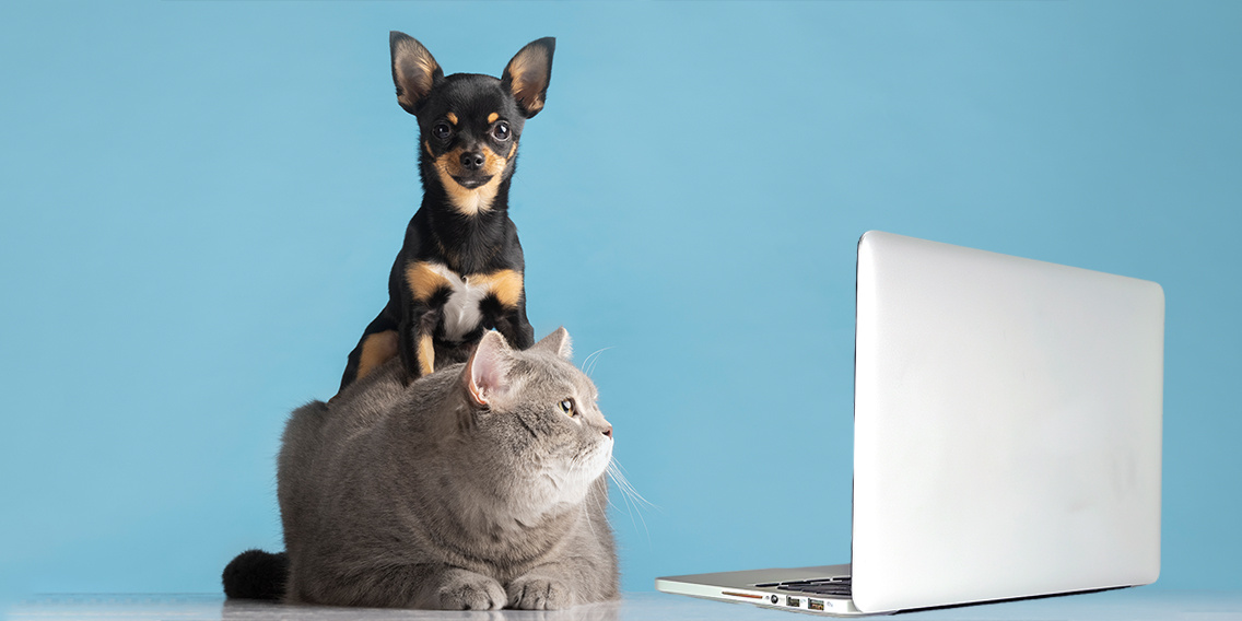 Why CAS and Automation Are Best Buds